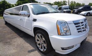 Limo Service Miami Limousine I Party Bus Rental | Love Miami Limos